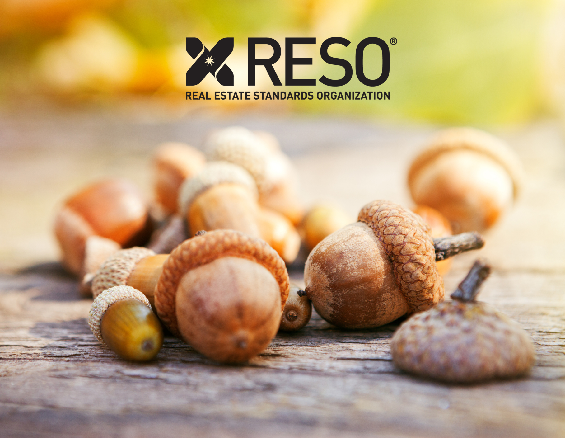Unpacking Updated Standards & Must-Read Member News! RESO Weekly 11/24 ...
